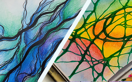 Neurographica Course Bundles