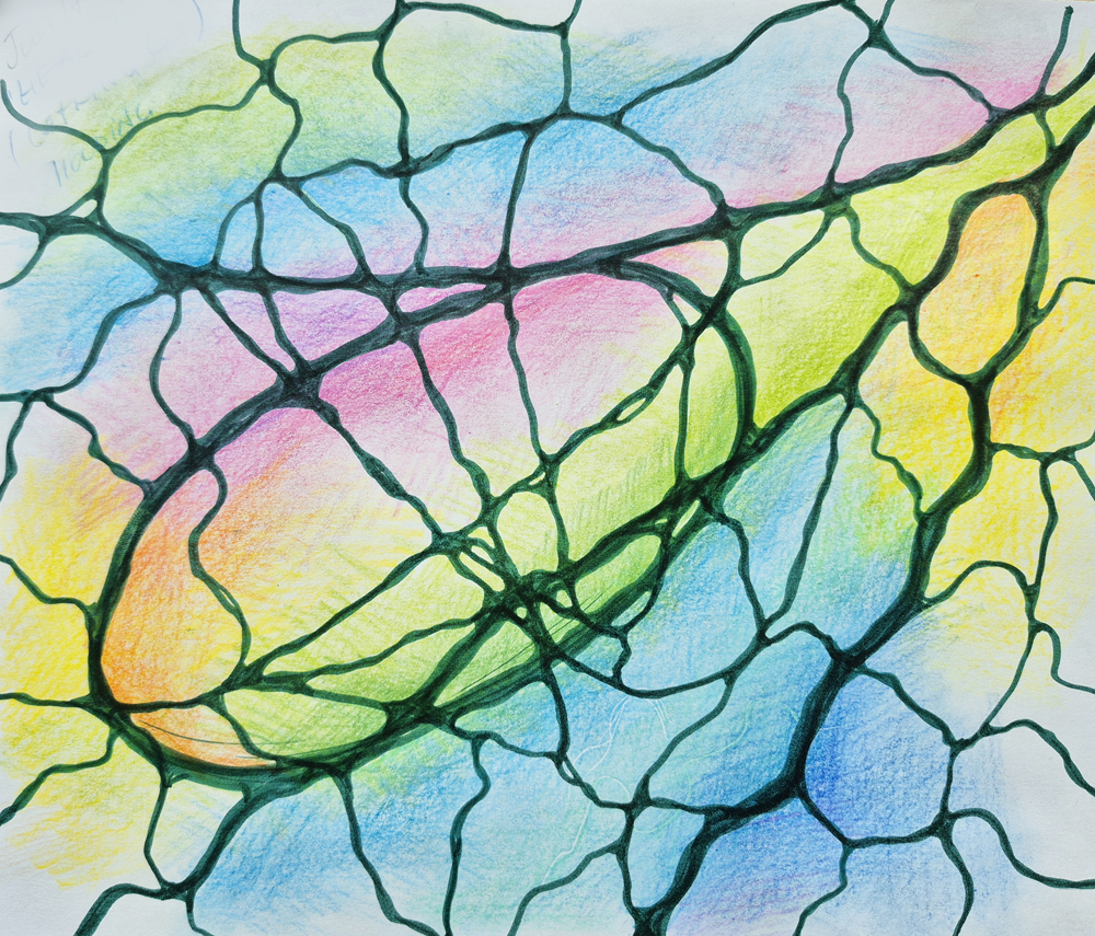 Beginner NeuroGraphica with Alina Smolyansky