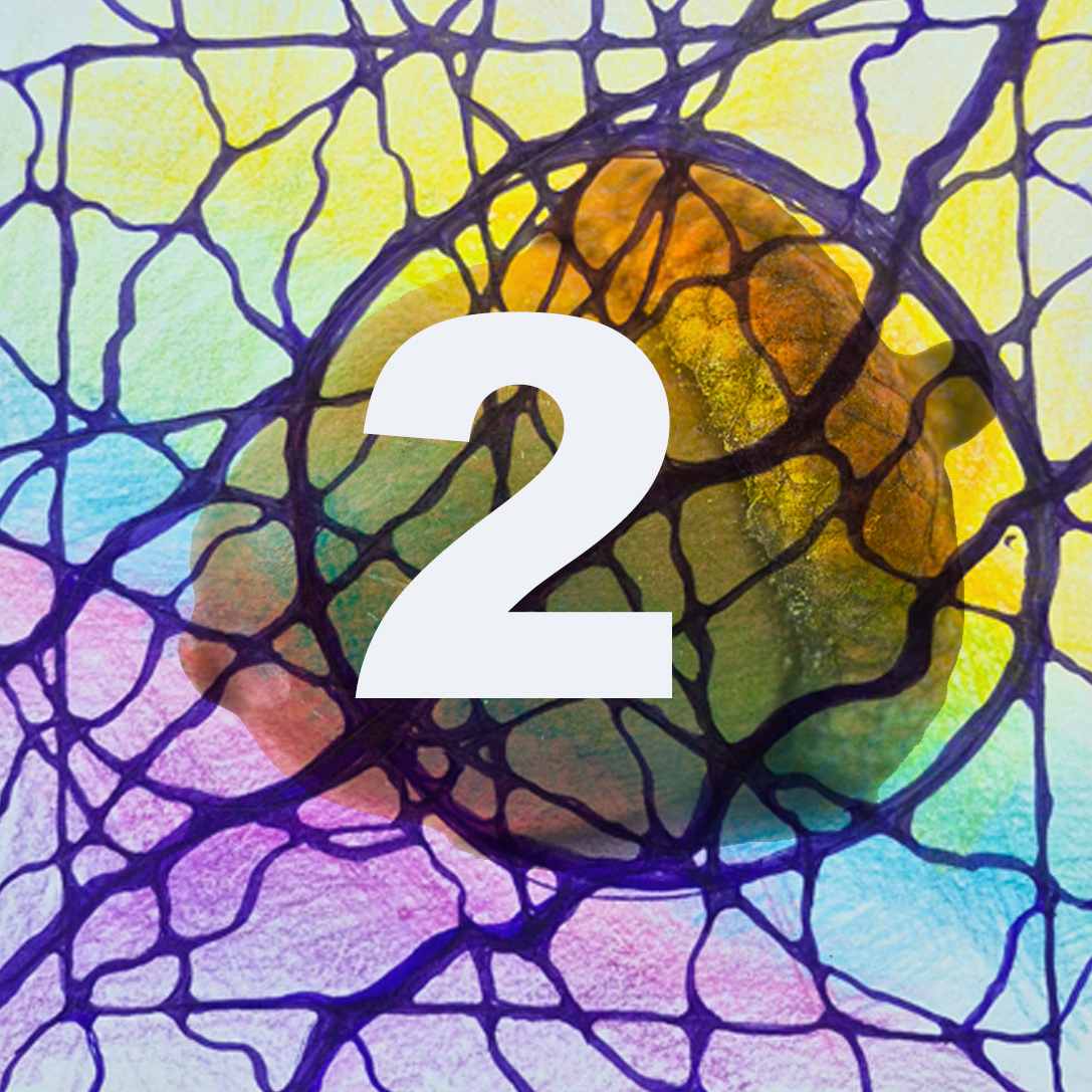 NeuroGraphica Courses with a certified NeuroGraphica Instructor